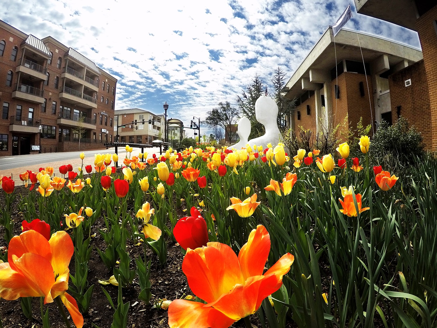 Town of Blacksburg - Step Into Blacksburg